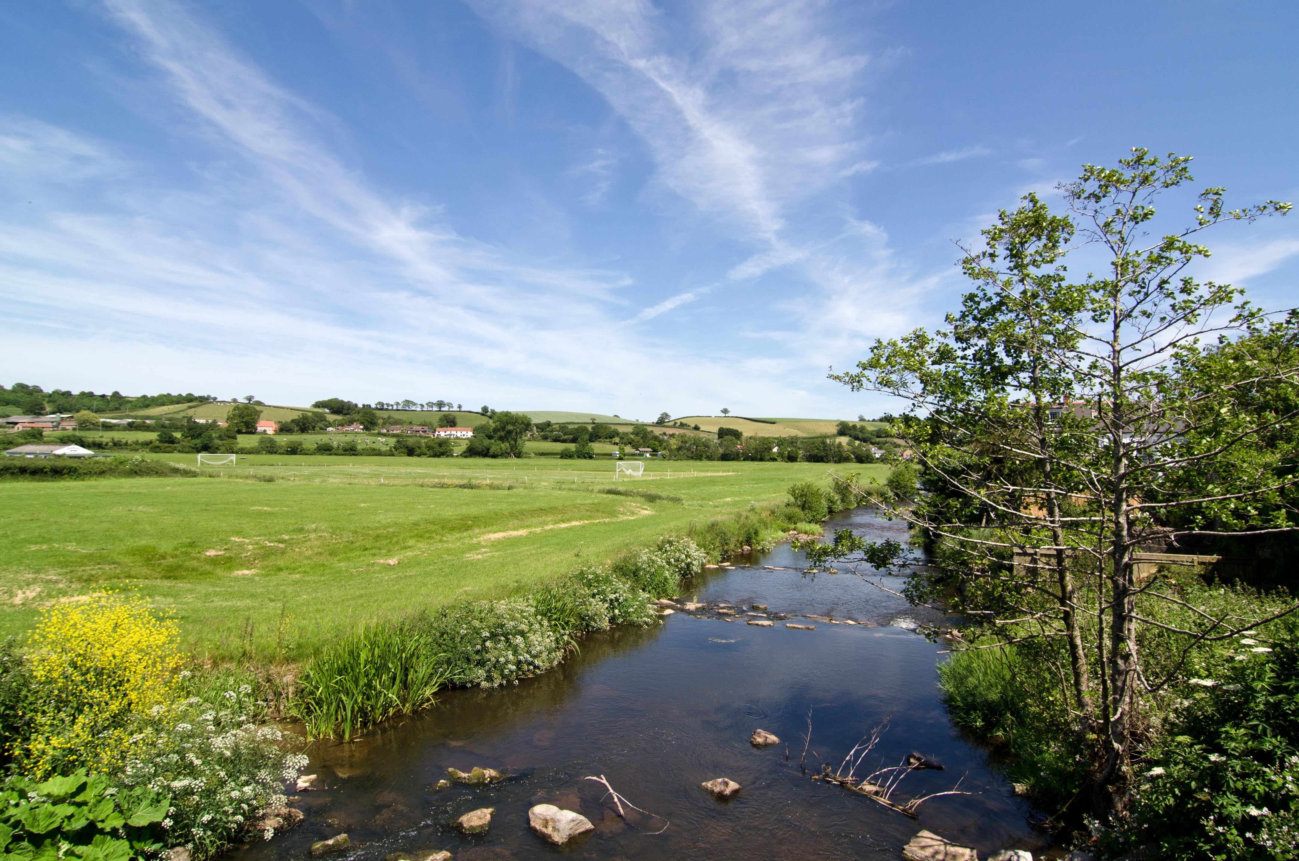 river-coly-colyton | Unique Devon Tours